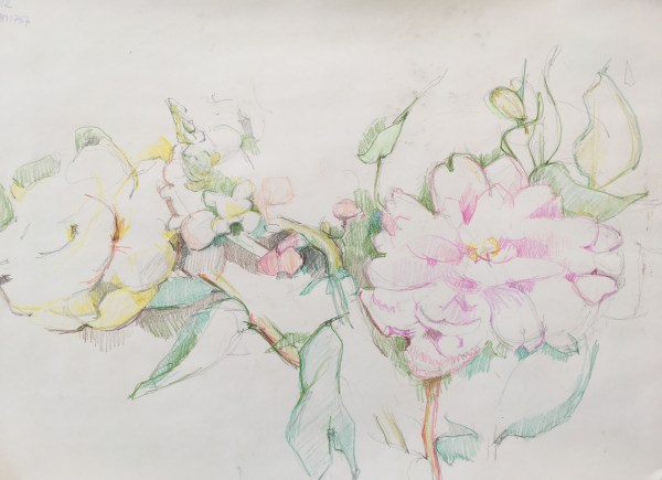 Lockdown Series I – Belinda Salmon Harding M.A.